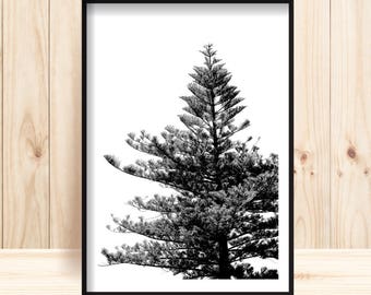 Pine tree art | Etsy