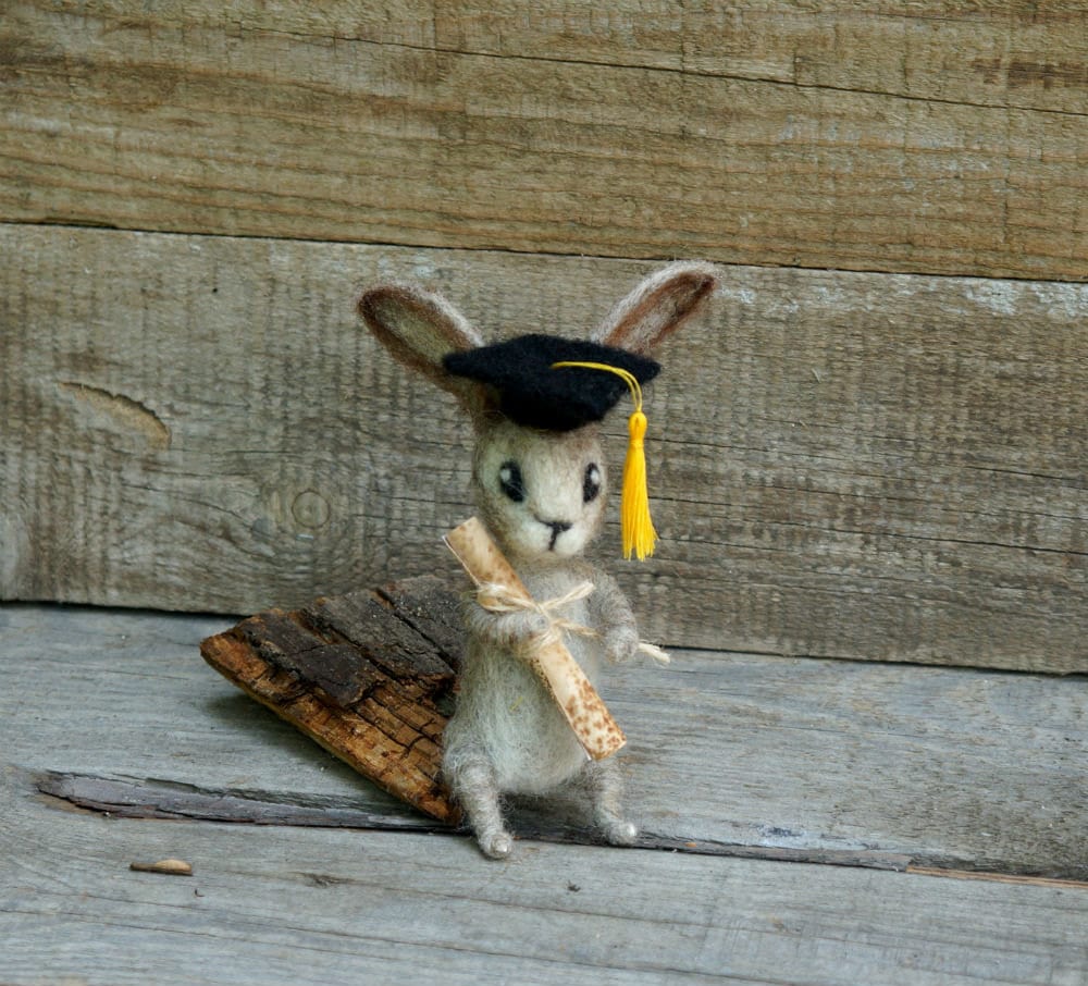 Graduation Bunny Felted rabbit Graduation present College Cute