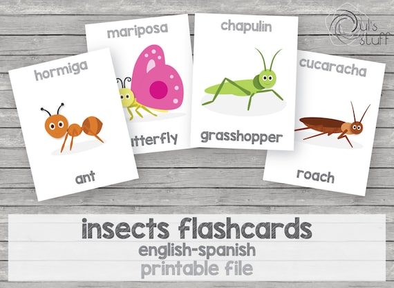 Tarjetas de insectos imprimibles para niños inglés-español