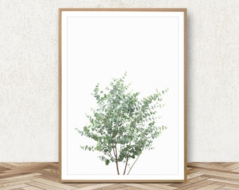 Eucalyptus print Eucalyptus branches Eucalyptus printable
