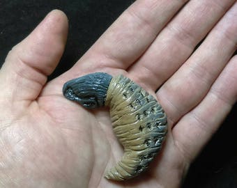 Tremors Graboid Statue