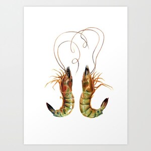 Shrimp print | Etsy