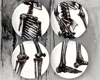 Skeleton plates | Etsy