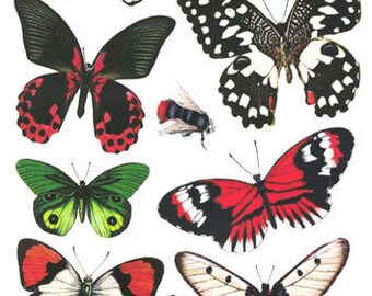 Butterfly stickers | Etsy