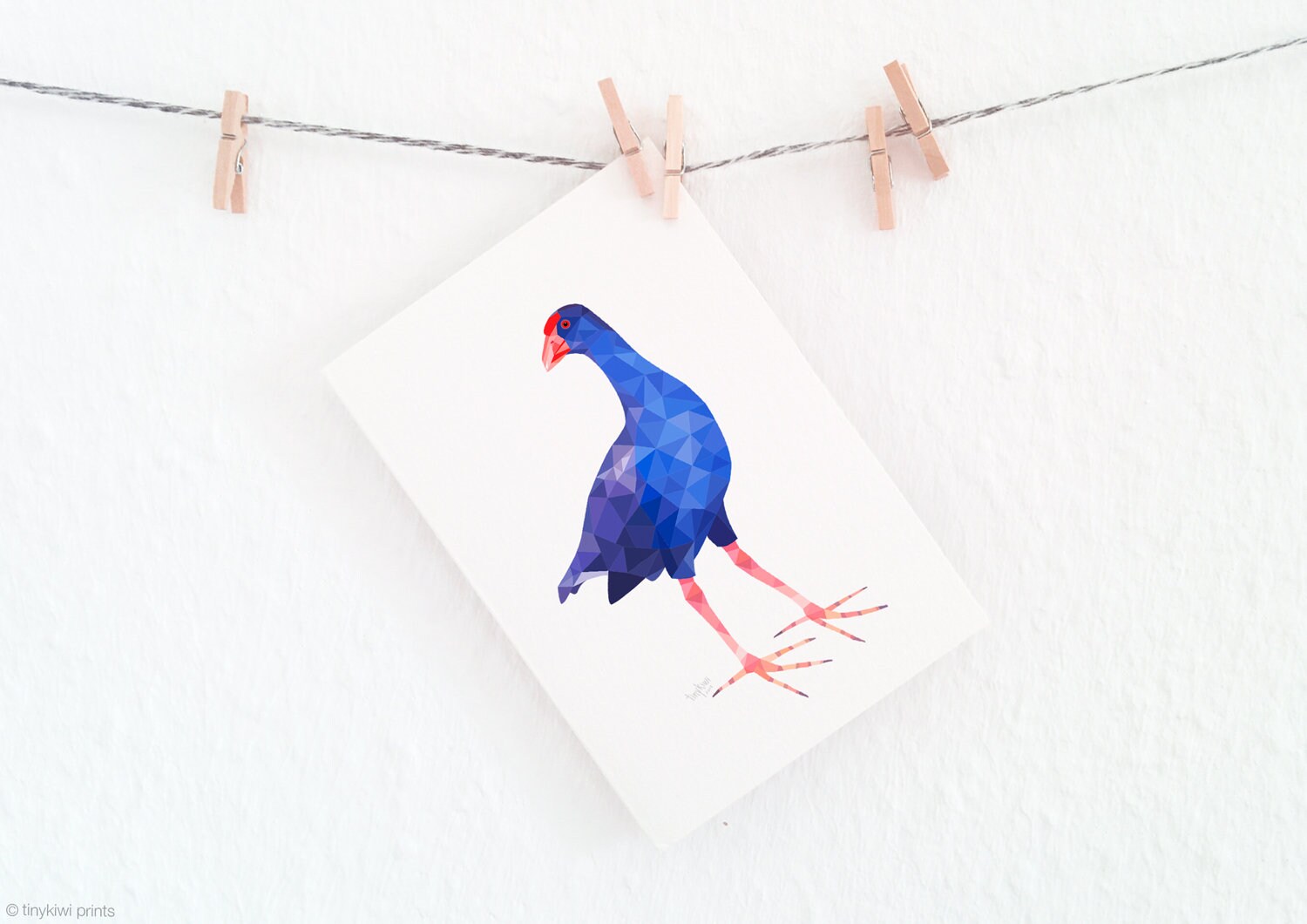Pukeko art, Pukeko print, Pukeko illustration, New Zealand Pukeko, Kiwi ...