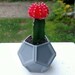 Dodecahedron 3D Printed Planter Succulent Mini Planter