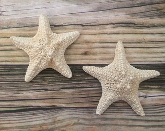 Starfish wall decor | Etsy