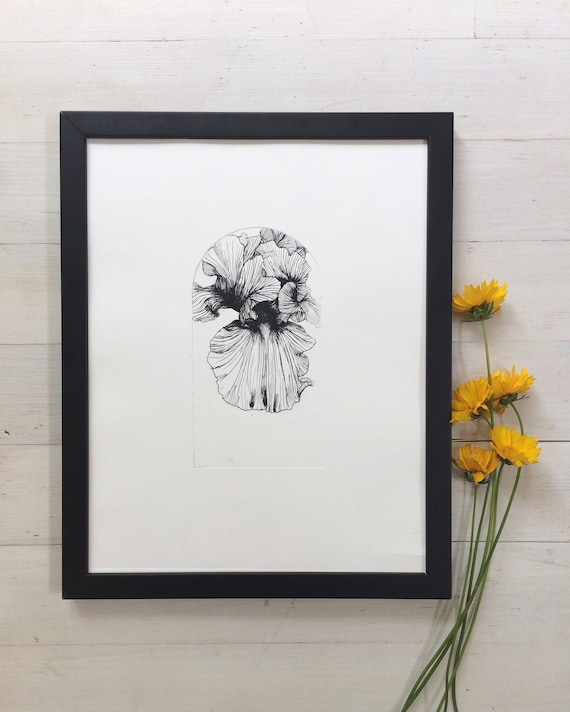 Botanicals - LintonArt