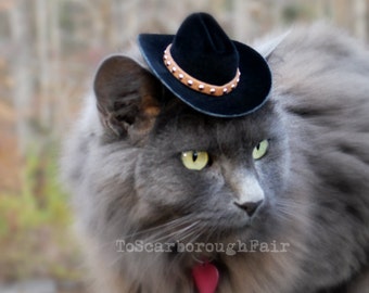 Cat Hat Elegant Mini Hat Spring Cat Hat Spring Bonnet