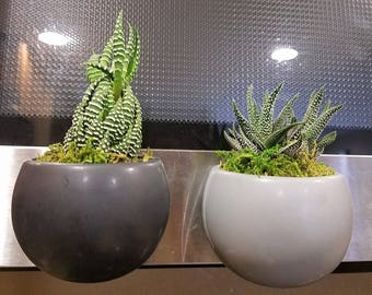 Magnetic planter | Etsy