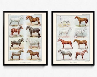 Horse poster | Etsy