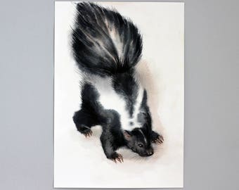 Skunk Watercolor striped skunk Painting skunk Art Print