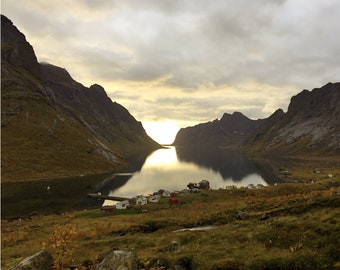 Mountains Ocean Dandelions in Stamsund Lofoten Norway