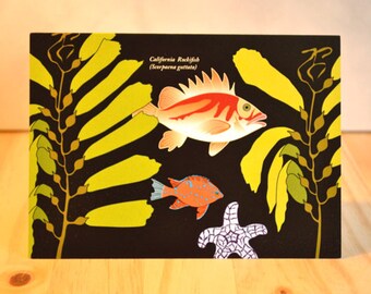 Garibaldi fish | Etsy