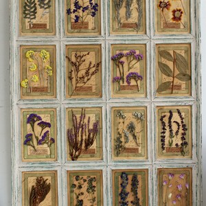 Pressed flower art | Etsy