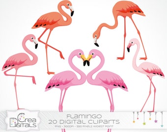 Flamingo Clipart Digital Flamingo Bird Exotic Coral