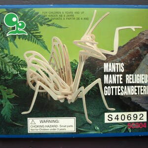 Praying mantis | Etsy