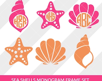 Shell svg | Etsy