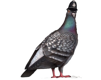 Pigeon in a Top Hat: A4 Print