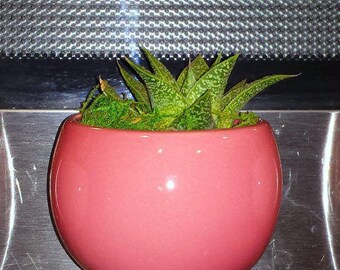 Magnetic planter | Etsy