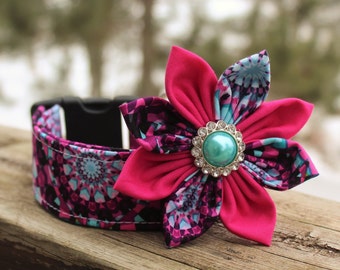 Unique dog collar | Etsy