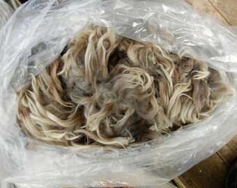 Wool Roving Sampler Navajo Churro Colors Colorado-Grown