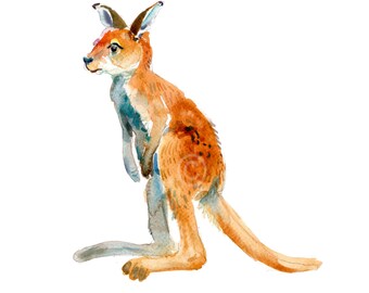 Kangaroo watercolor | Etsy