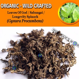 God of longevity | Etsy