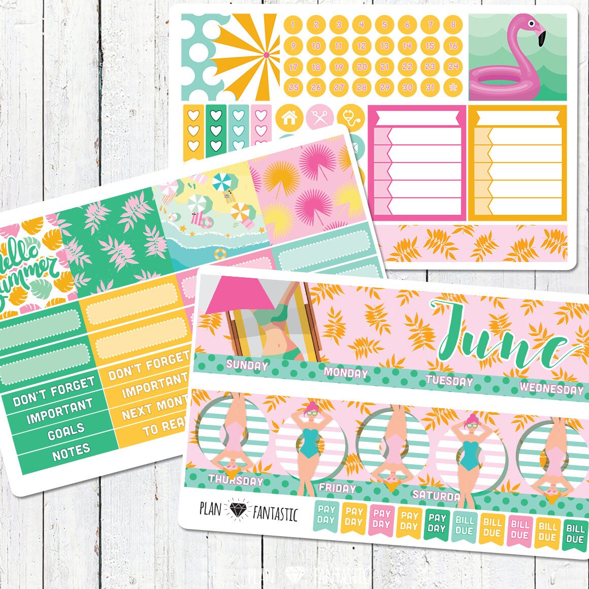 June Monthly Planner Sticker Kit Monthly Calendar Stickers