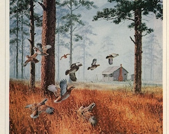 David maass art | Etsy