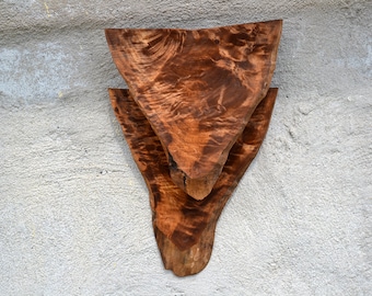 Round wood wall art Tree rounds decor holzwand kunst tree