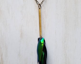 real elytra jewel beetle wing cases