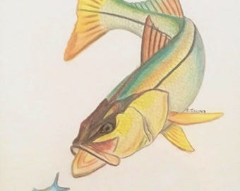 Snook drawing | Etsy