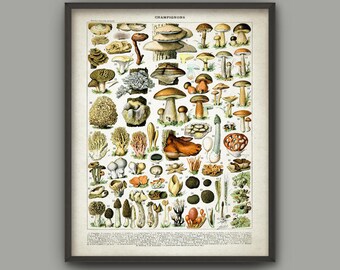 Tesla Patent Prints Nikola Tesla Engineering Invention