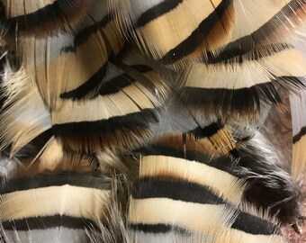 Chukar feathers 1 Pack NATURAL CHUKAR PARTRIDGE Hen Feather
