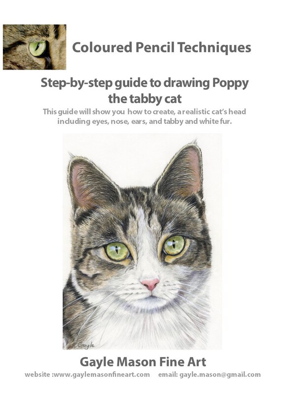 Step by Step Tutorial Drawing a Tabby Cat in Coloured
