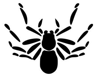 Spider decals | Etsy