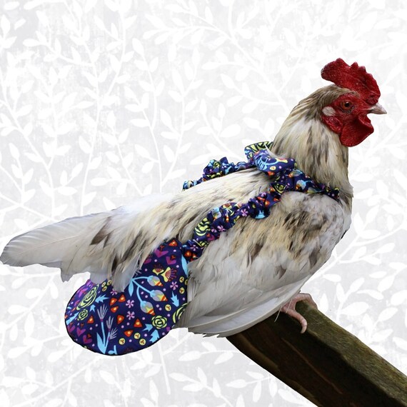 Small Stylish Chicken Diaper Perfect for Small Bantams