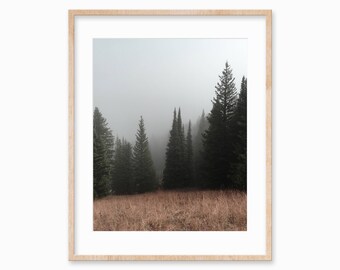 Nature prints | Etsy