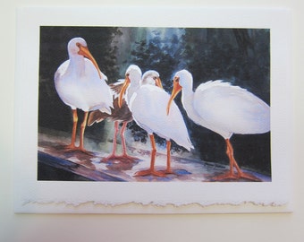 Florida bird art | Etsy