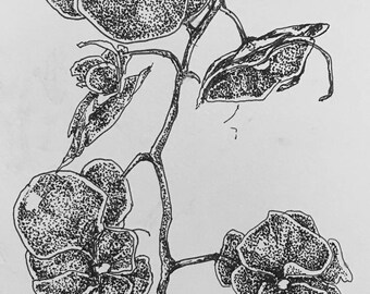 Orchid drawing | Etsy