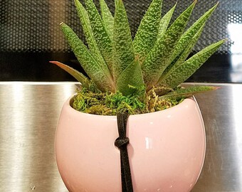 Magnetic planter | Etsy