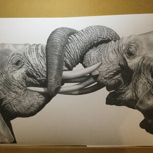 Elephant drawing | Etsy