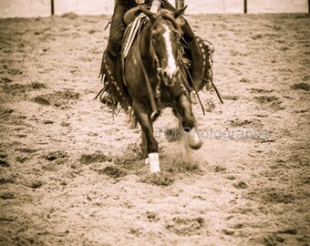 Equine photography | Etsy