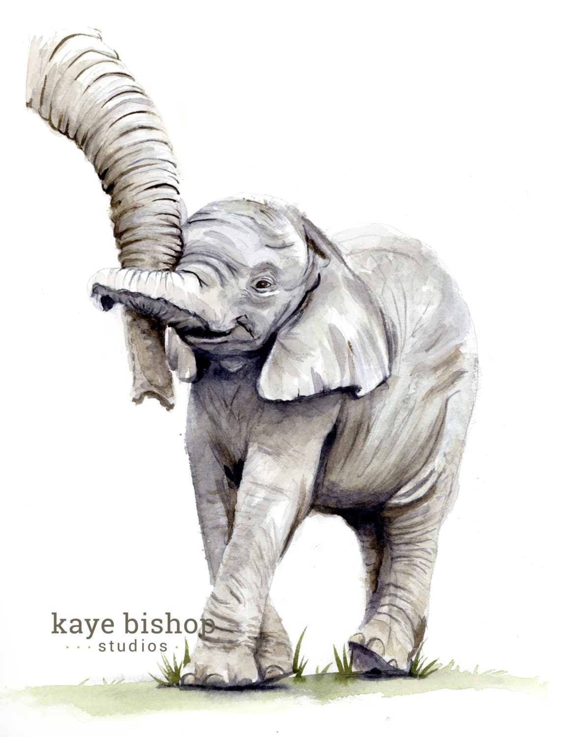 Elefant Aquarell Tier Art Elefanten Malerei Elefant Aquarell