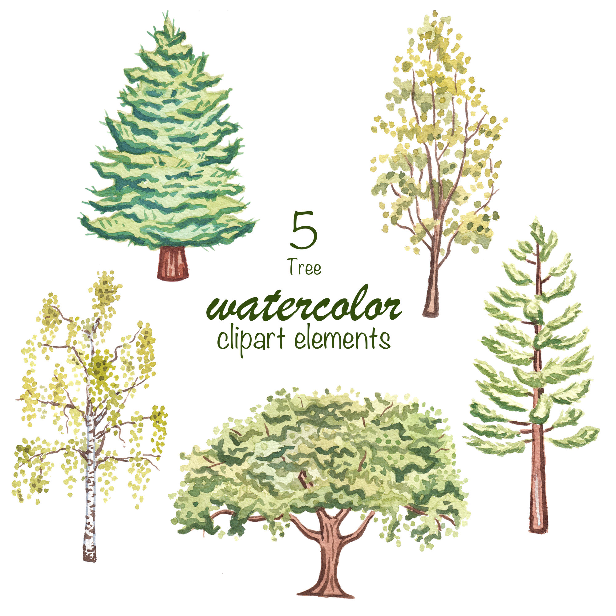 WATERCOLOR CLIPART tree clipart watercolor tree clipart