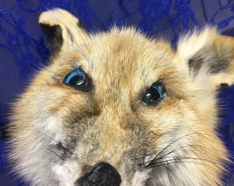 Weird taxidermy | Etsy