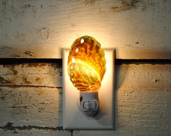 Seashell lights | Etsy