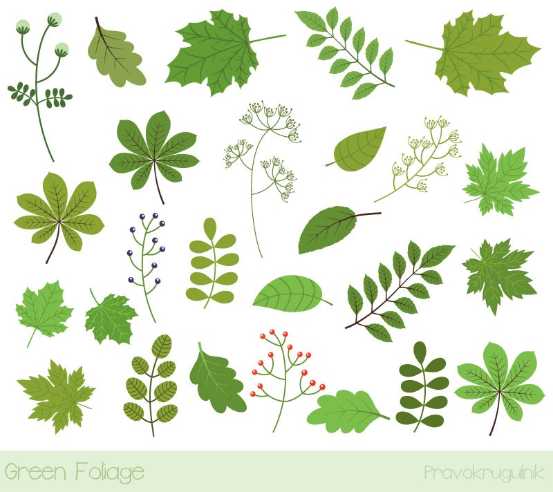 Green leaf clipart Green foliage clipart Spring leaf