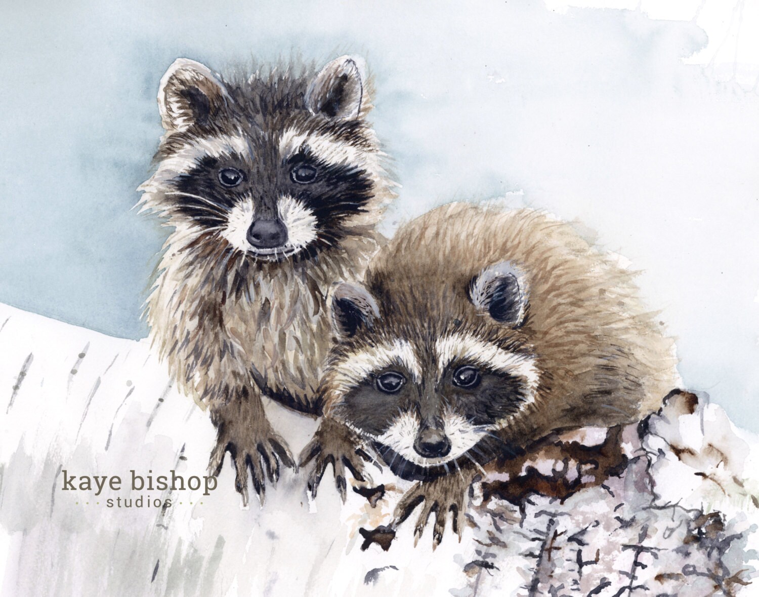 Raccoon Watercolor Painting Raccoons Art Animal Wall Art